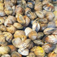 Kokkels van de barbecue | BBQ Rockstars